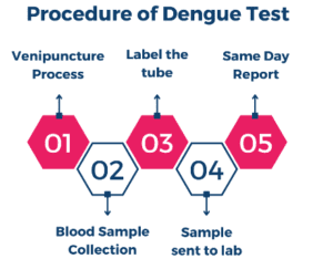 Everything you Need to Know About Dengue Blood Tests: Diagnosis ...